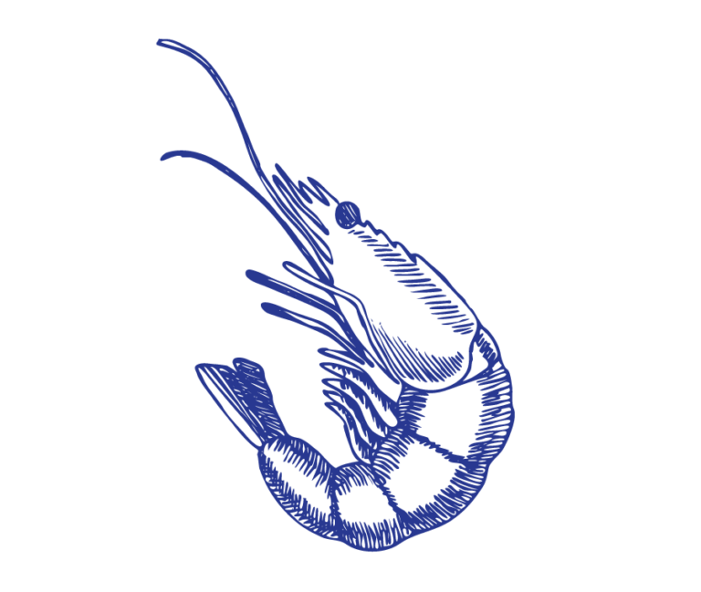 La Risacca 2 - La Risacca 2 Milano